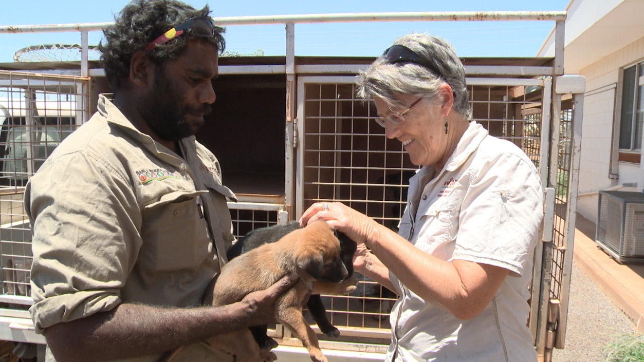 Healthy animals means healthy communities | Indigenous