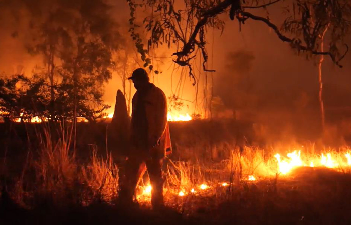 The Culture of Fire Management around the Gulf of Carpentaria | Indigenous