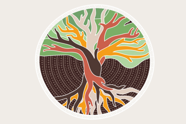 Apply now for Aboriginal and Torres Strait Islander Action Plan grants ...