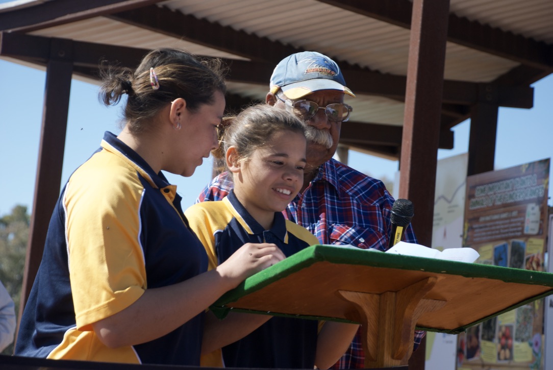 Celebrating two decades of a revolution in natural and cultural ...