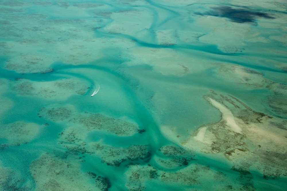 Oceans Leadership Delivers $9.7 Million For Sea Country | Indigenous