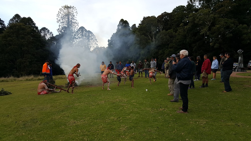 Sharing fire management skills in the Bunya Mountains | Indigenous