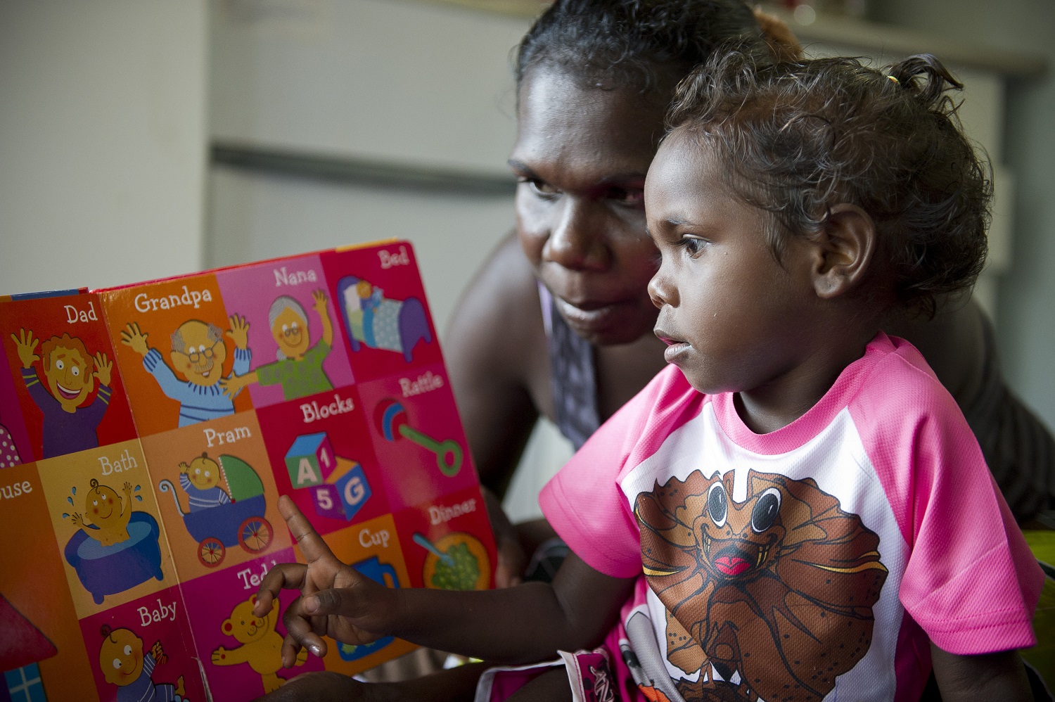 Lifting literacy levels and instilling a lifelong love of reading ...